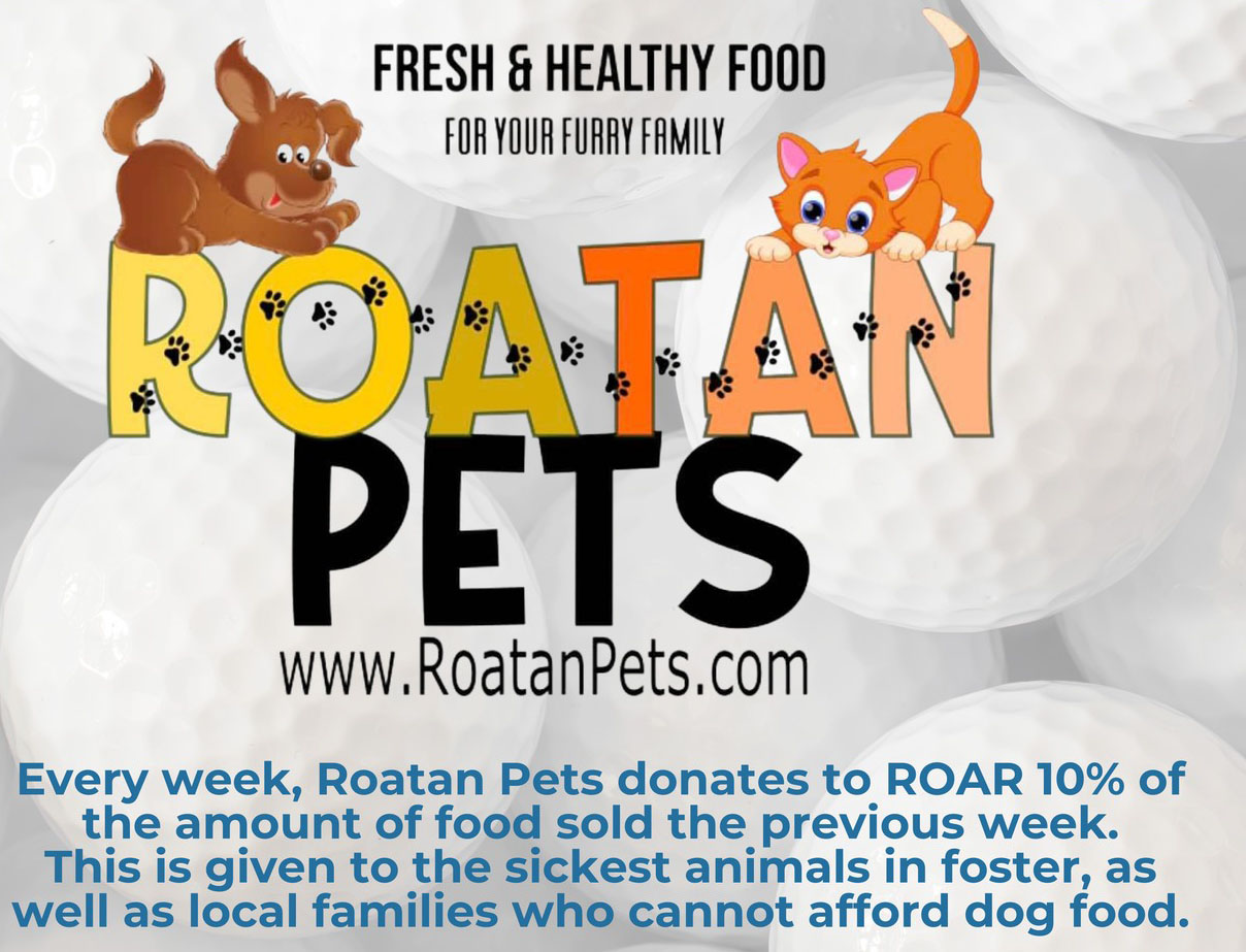 September 17, 2024 – Welcome to Roatan Weather